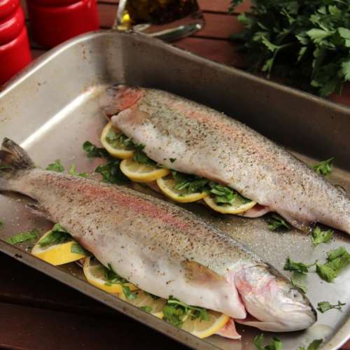 POACHED TROUT WITH LIME MAYONNAISE – Tales and Travel